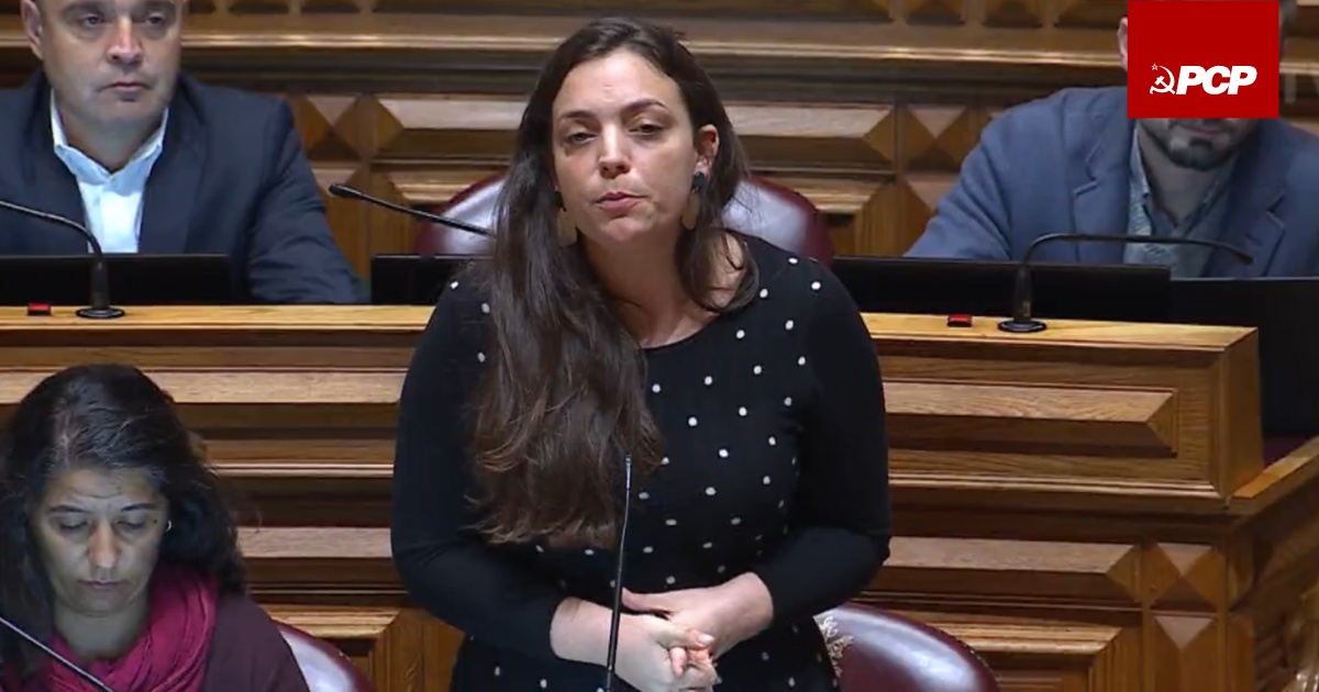 A justiça penal deve ser mais célere e eficaz | Partido Comunista Português