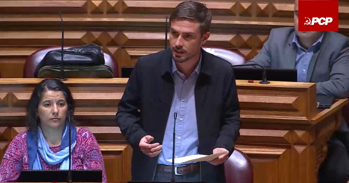 Se a plataforma digital tem actividade em Portugal, é às autoridades ...