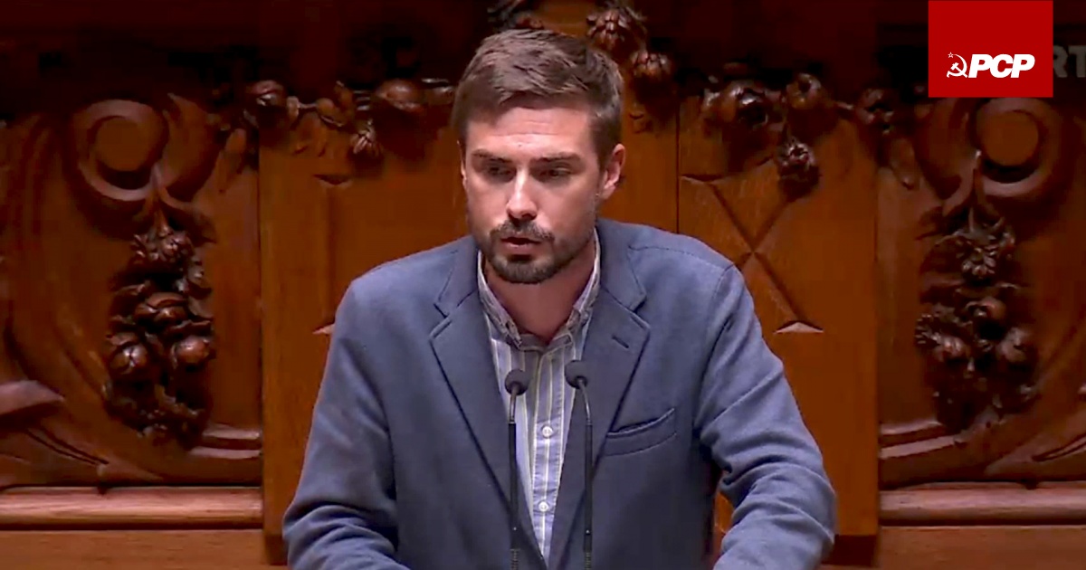 Não investir nos Serviços Públicos para reduzir o défice não é ...