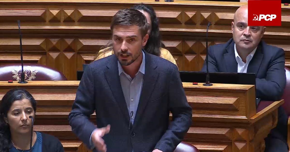 A privatização da EFACEC retira ao País a garantia de desenvolvimento ...