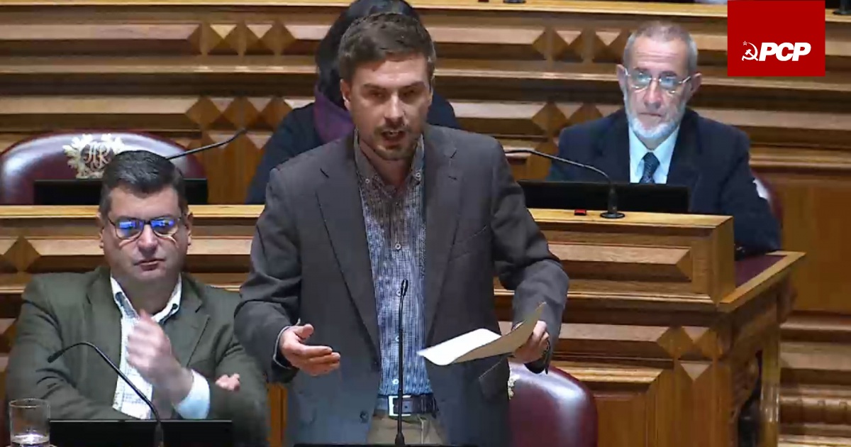 O PS, PSD, IL, PAN e Chega têm o objectivo de tornar legal o tráfico de ...