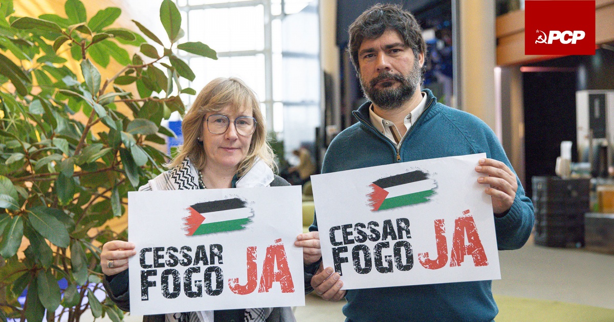 Deputados do PCP no Parlamento Europeu promovem acção de apelo a Cessar ... Deputados do PCP no Parlamento Europeu promovem acção de apelo a Cessar ...